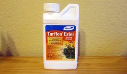 How to Kill Crabgrass that's Invading Your Lawn Using Turflon